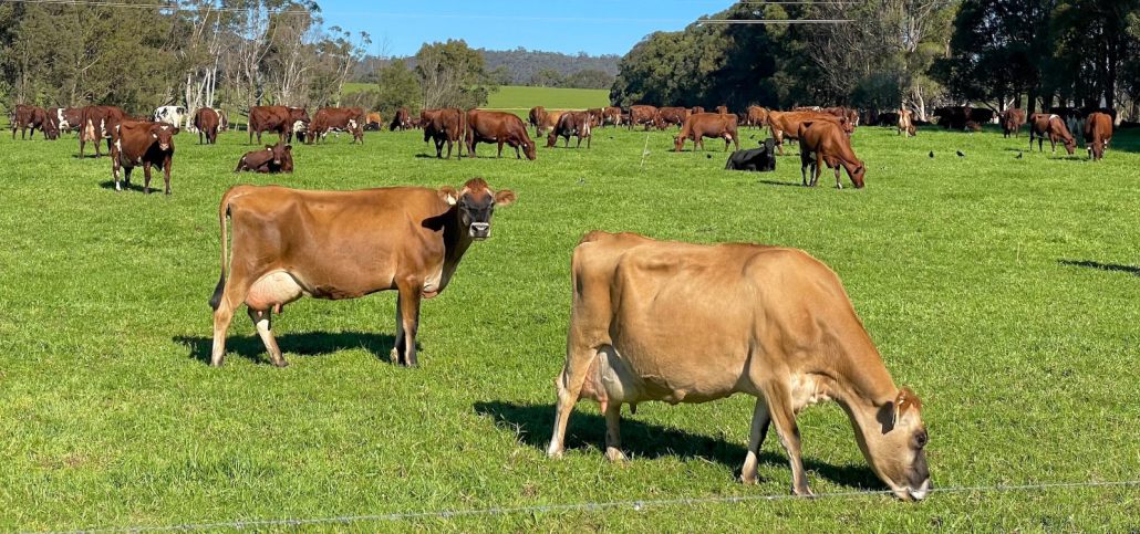 Home - edgefm.org.au